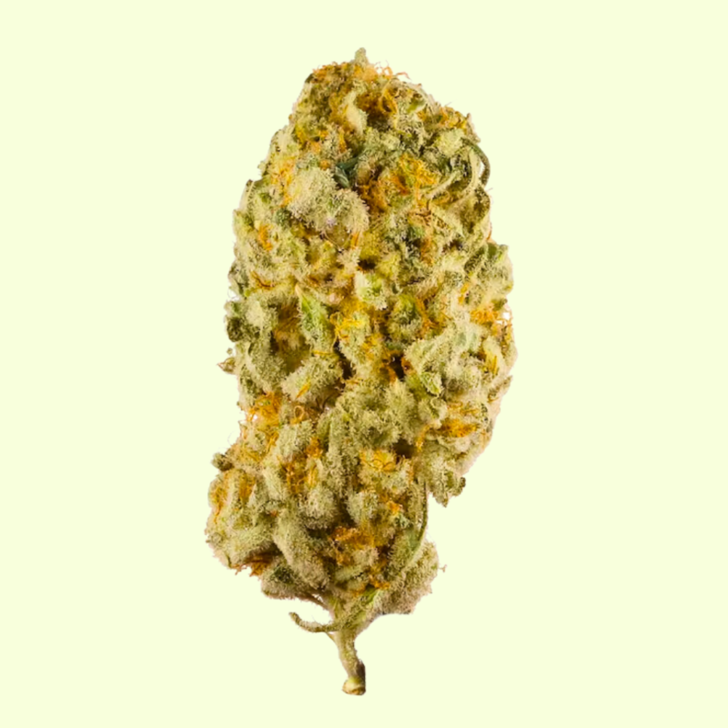 Top 5 Fall Weed Strains - Available at Green Dragon