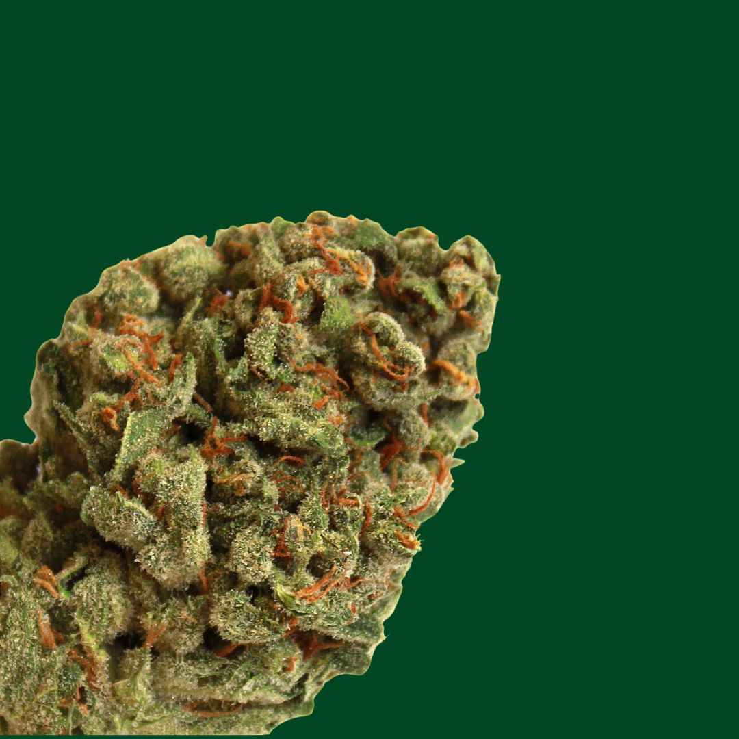 Top Weed Strains of 2024 (so far) - Green Dragon Dispensaries